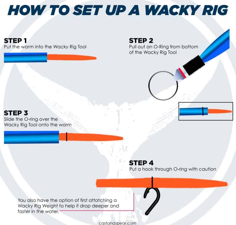 5 Must-Know Plastic Worm Rigs to Catch More Bass